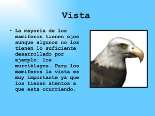 Los Sentidos De Los Animales[1] Jfc | PPT