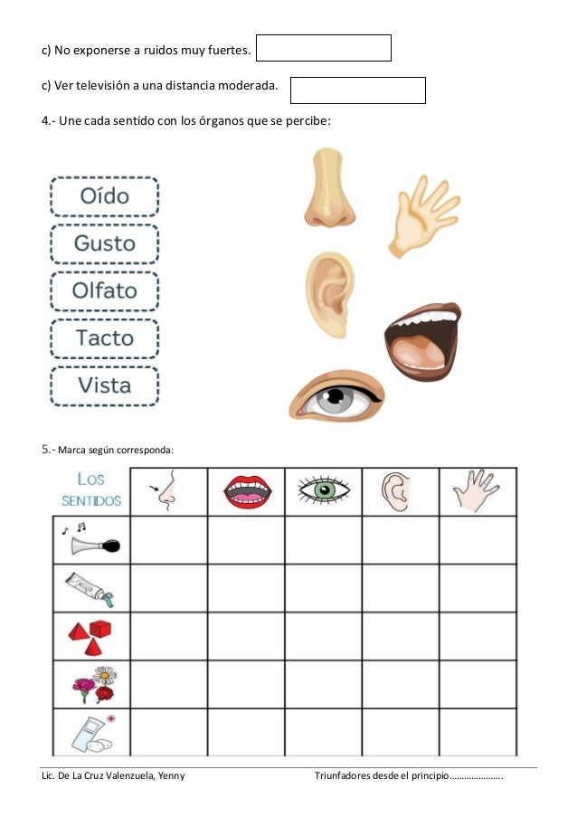 Los sentidos practica