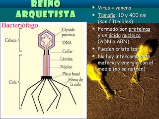 Los seres vivos | PPT