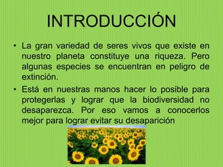 Los seres vivos | PPTX