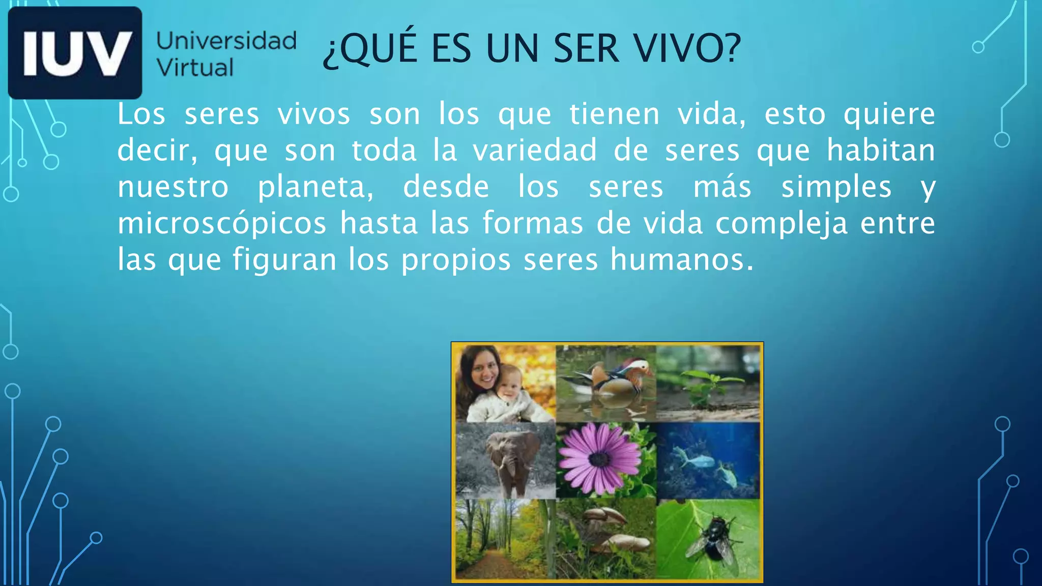 Los seres vivos | PPTX