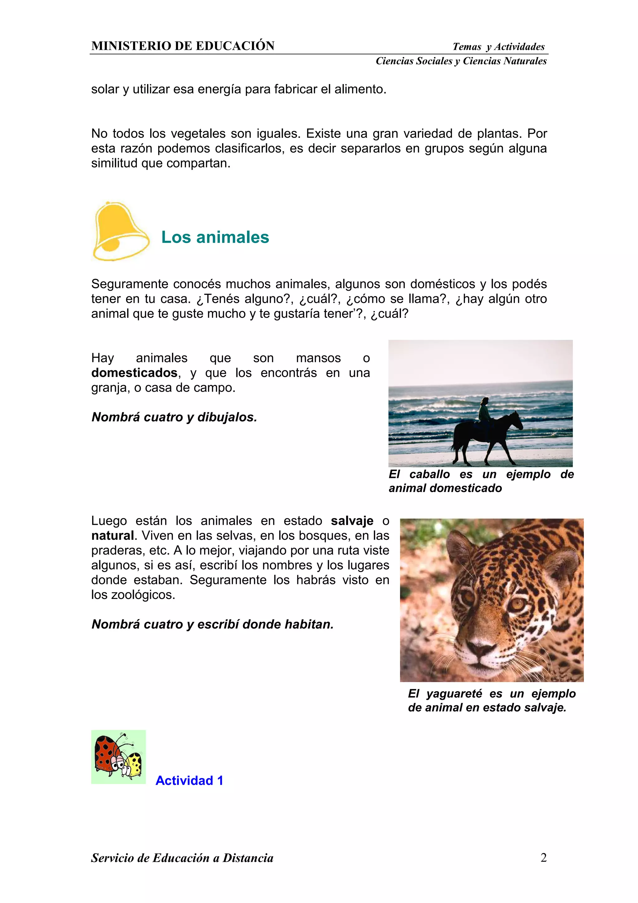 Los seres vivos. las plantas y los animales | PDF