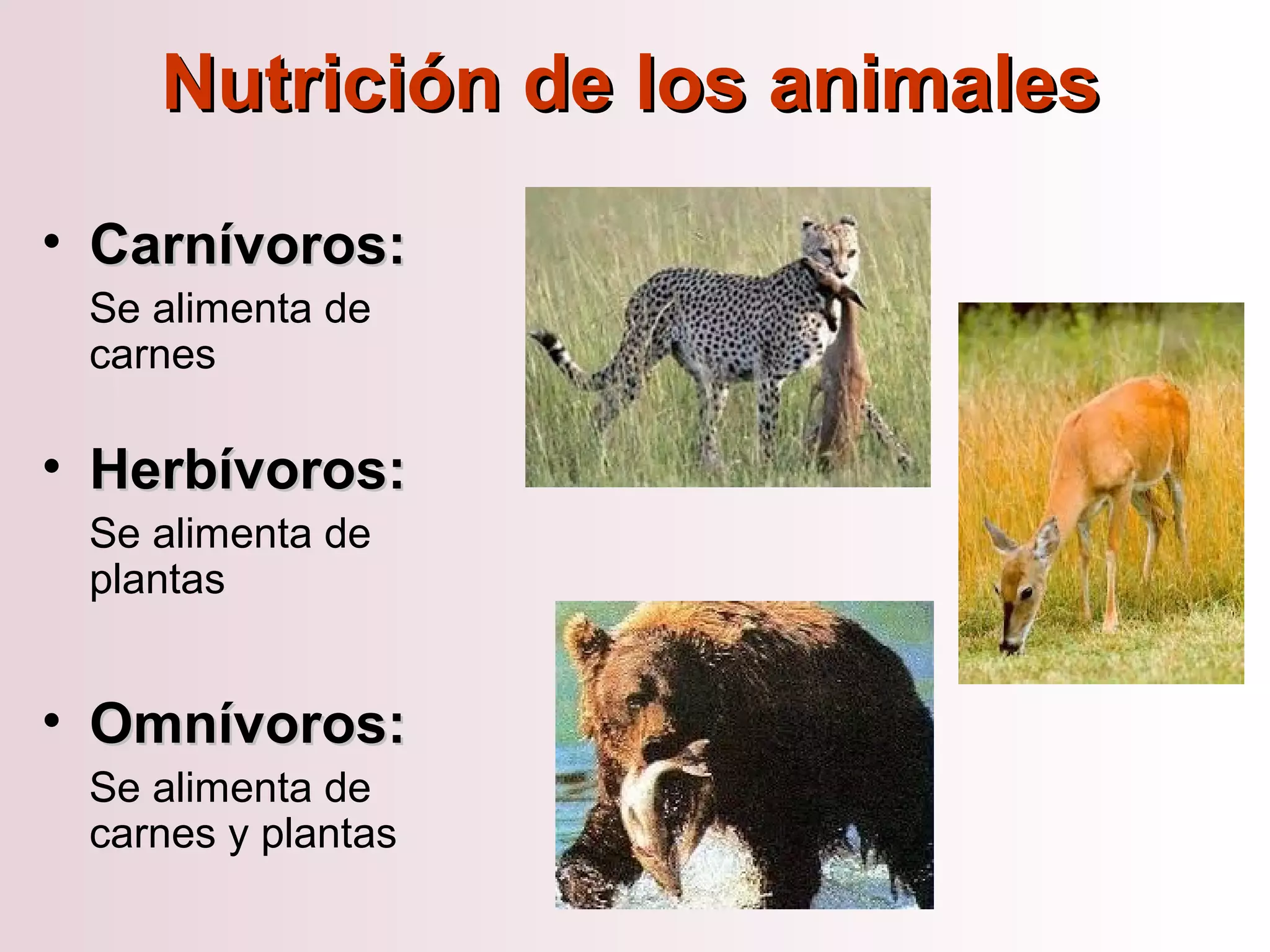 los seres vivos - objetos inertes.pdf