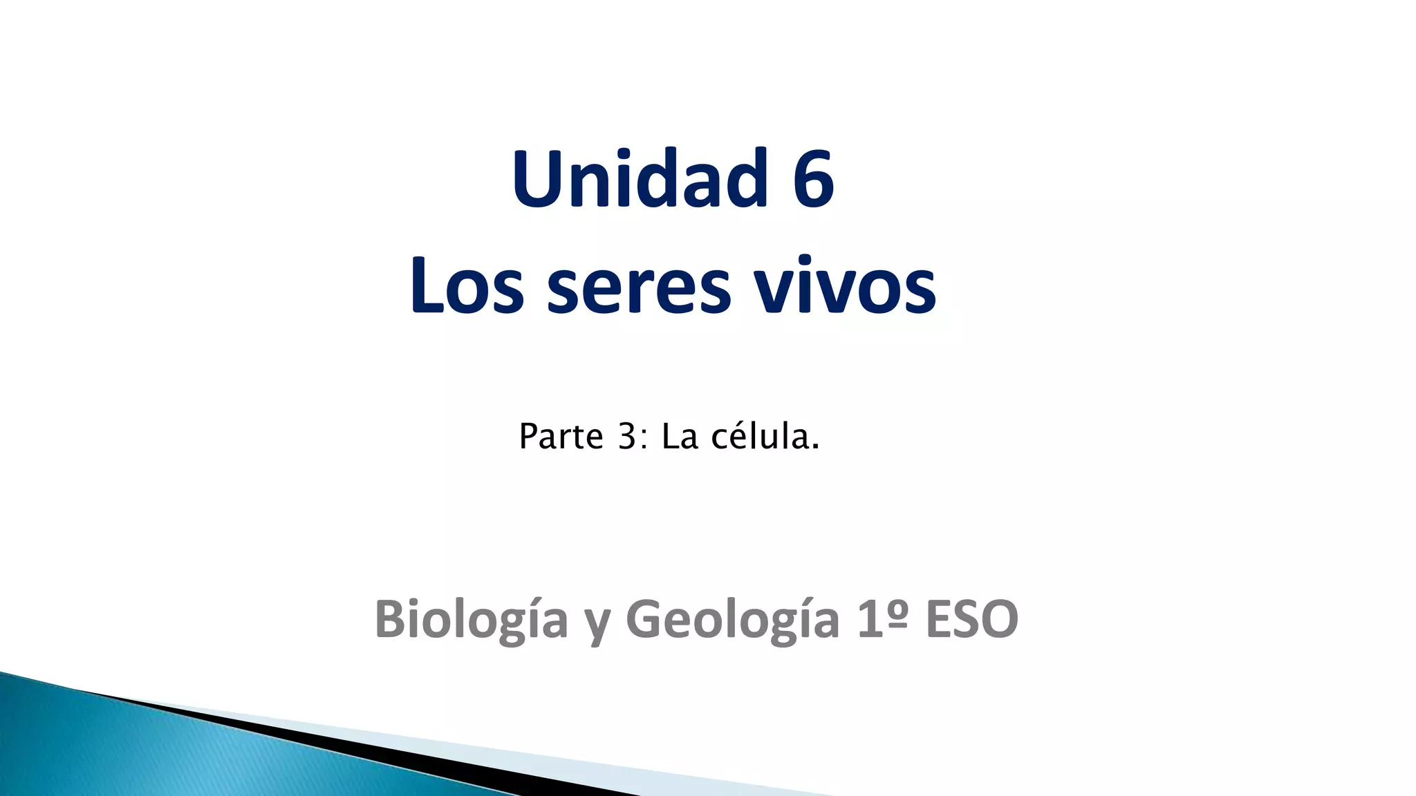 Los seres vivos 3: La célula | PPT