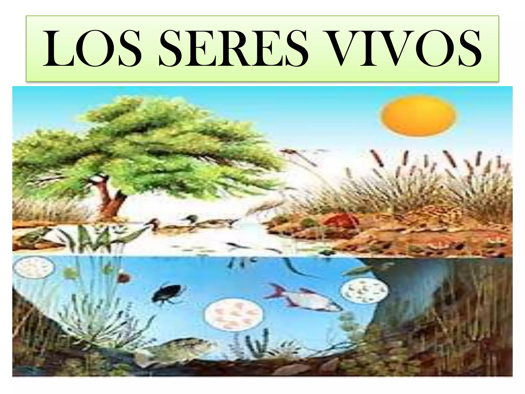 Los Seres Vivos Diapositivas | PPT