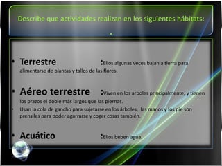 Los seres vivos el mono | PPTX
