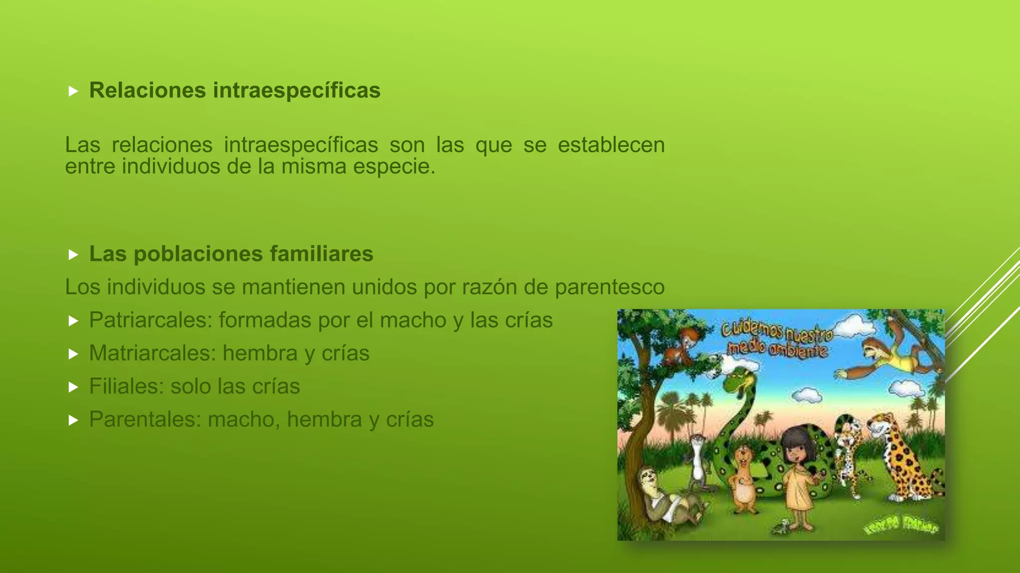 Los seres vivos en el ecosistema | PPT