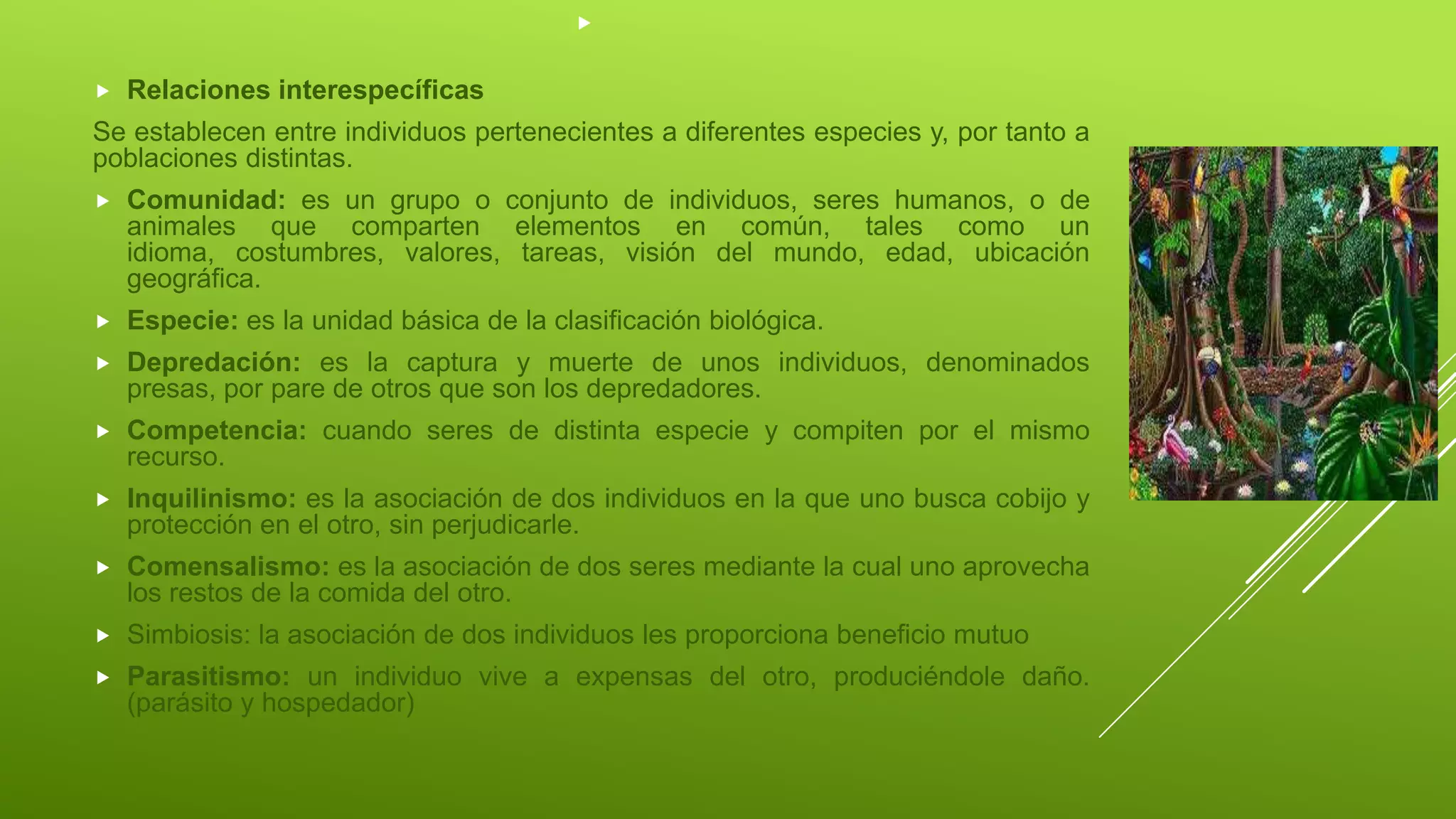 Los seres vivos en el ecosistema | PPT