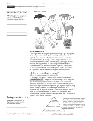 ¿Cómo fluyen la materia y la energía en el ecosistema?. Los seres vivos ...
