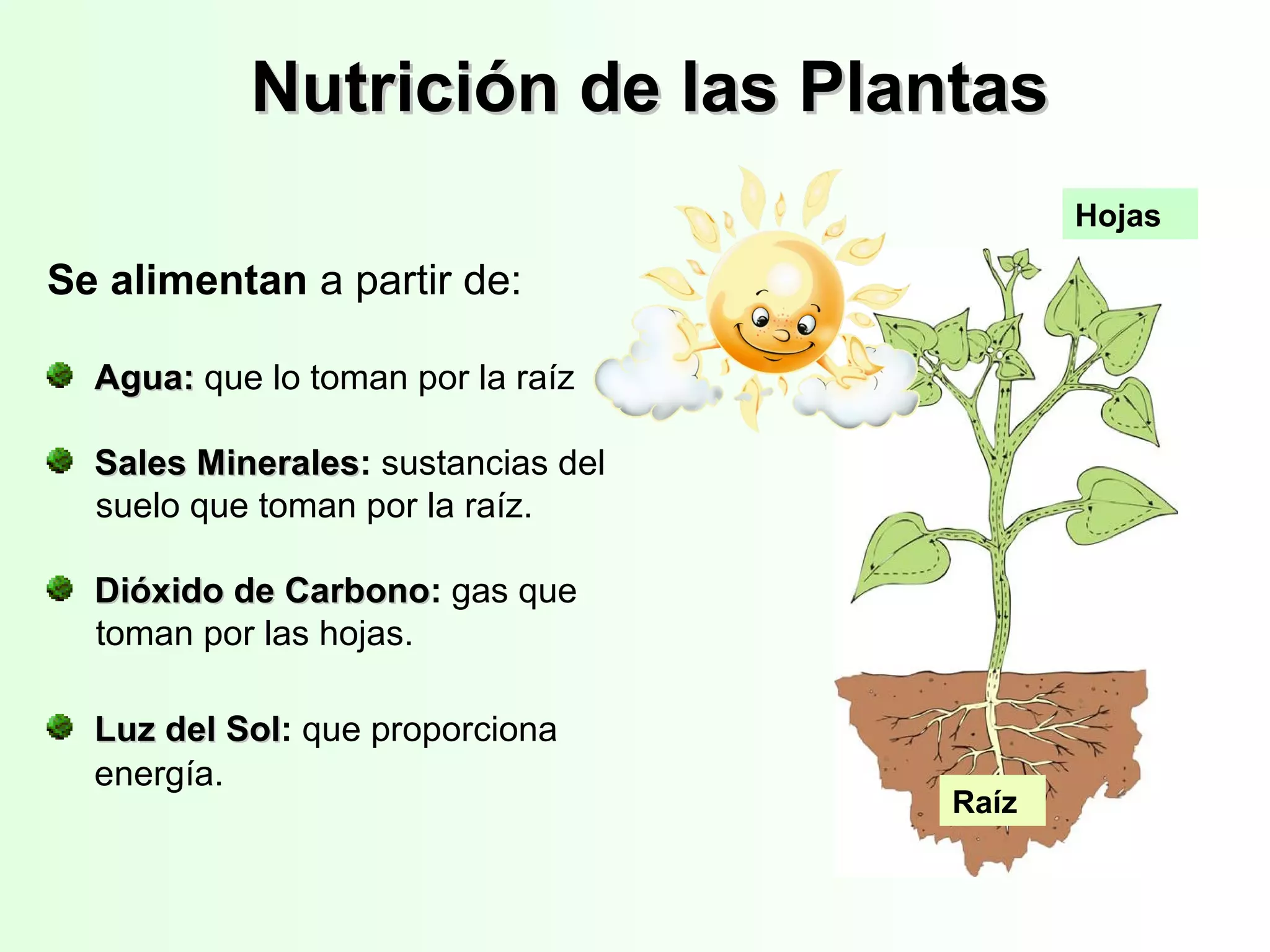 Los seres vivos objetos inertes ppt | PPT