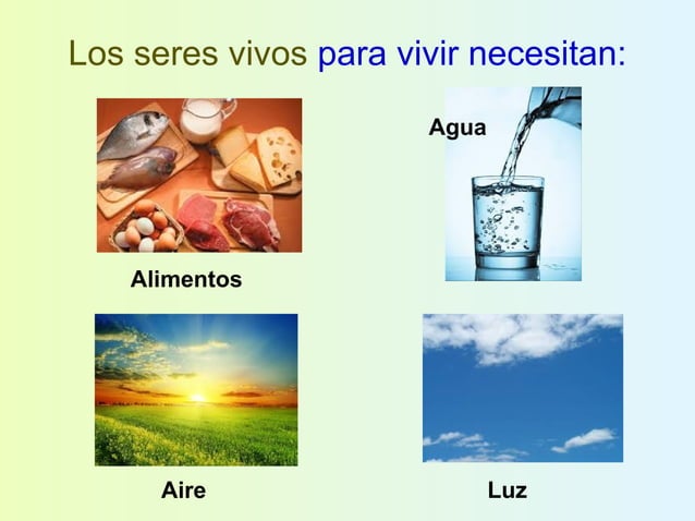 Los seres vivos objetos inertes ppt | PPT