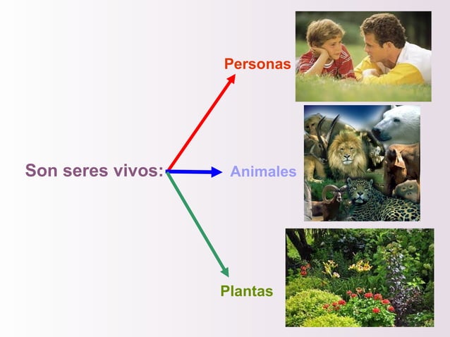 Los seres vivos objetos inertes ppt