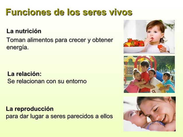 Los seres vivos objetos inertes ppt