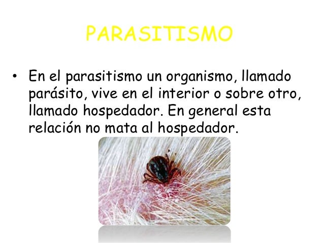 Ciencias Naturales Tercero