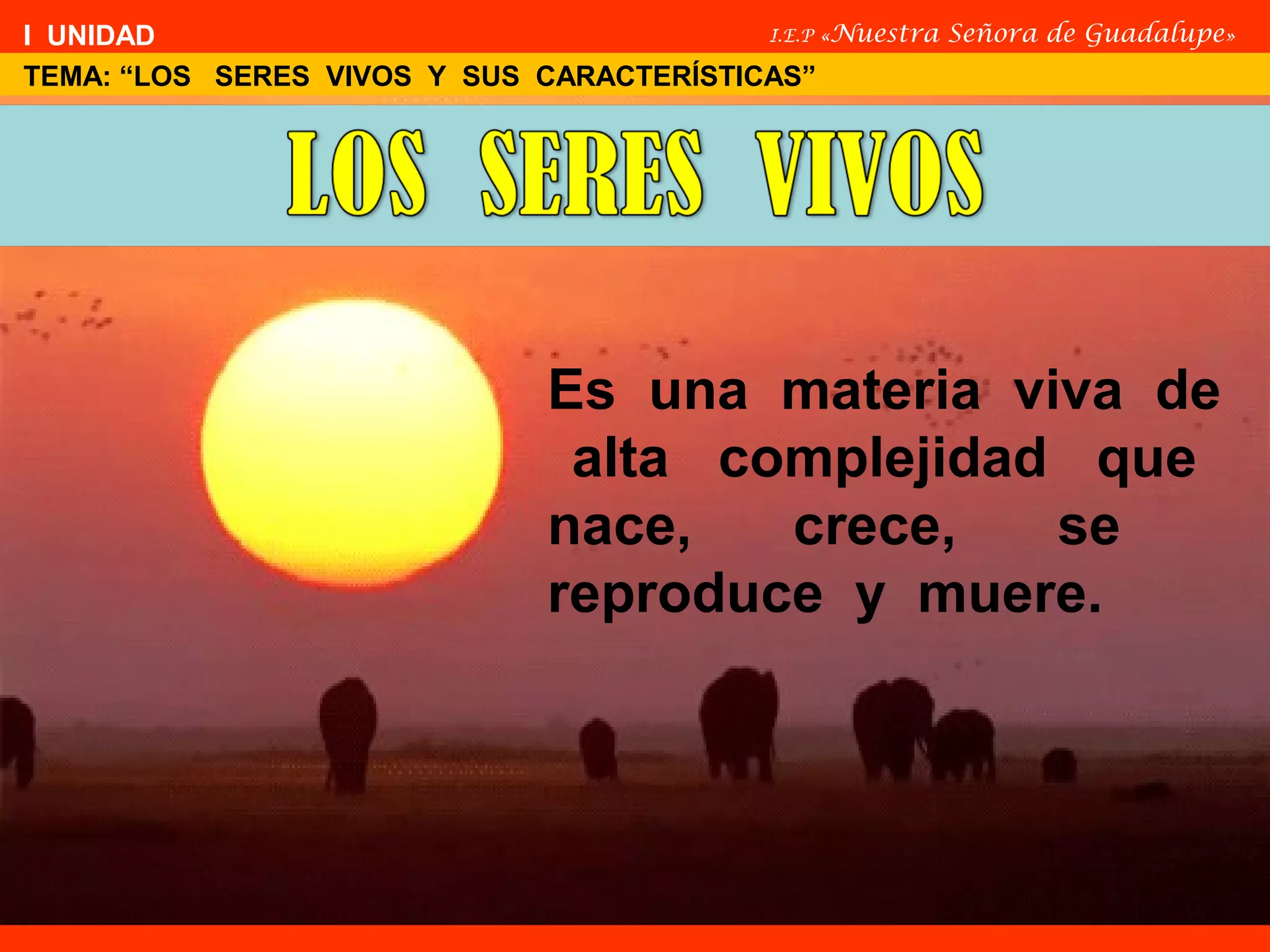 Los seres vivos y caracteristicas | PPT