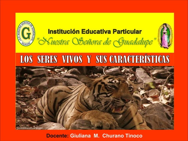 Los seres vivos y caracteristicas | PPT