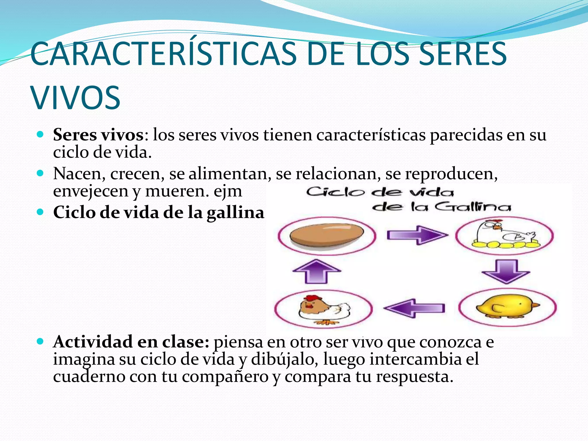 Los seres vivos y objetos no vivos grado | PPT