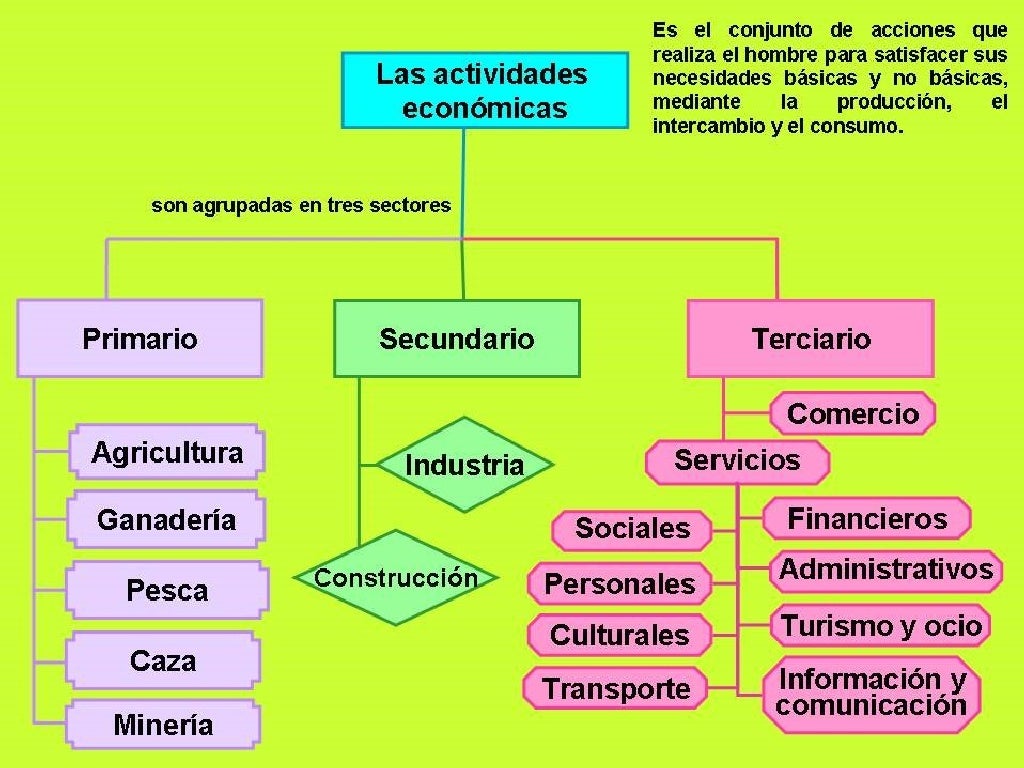 El Sector Terciario