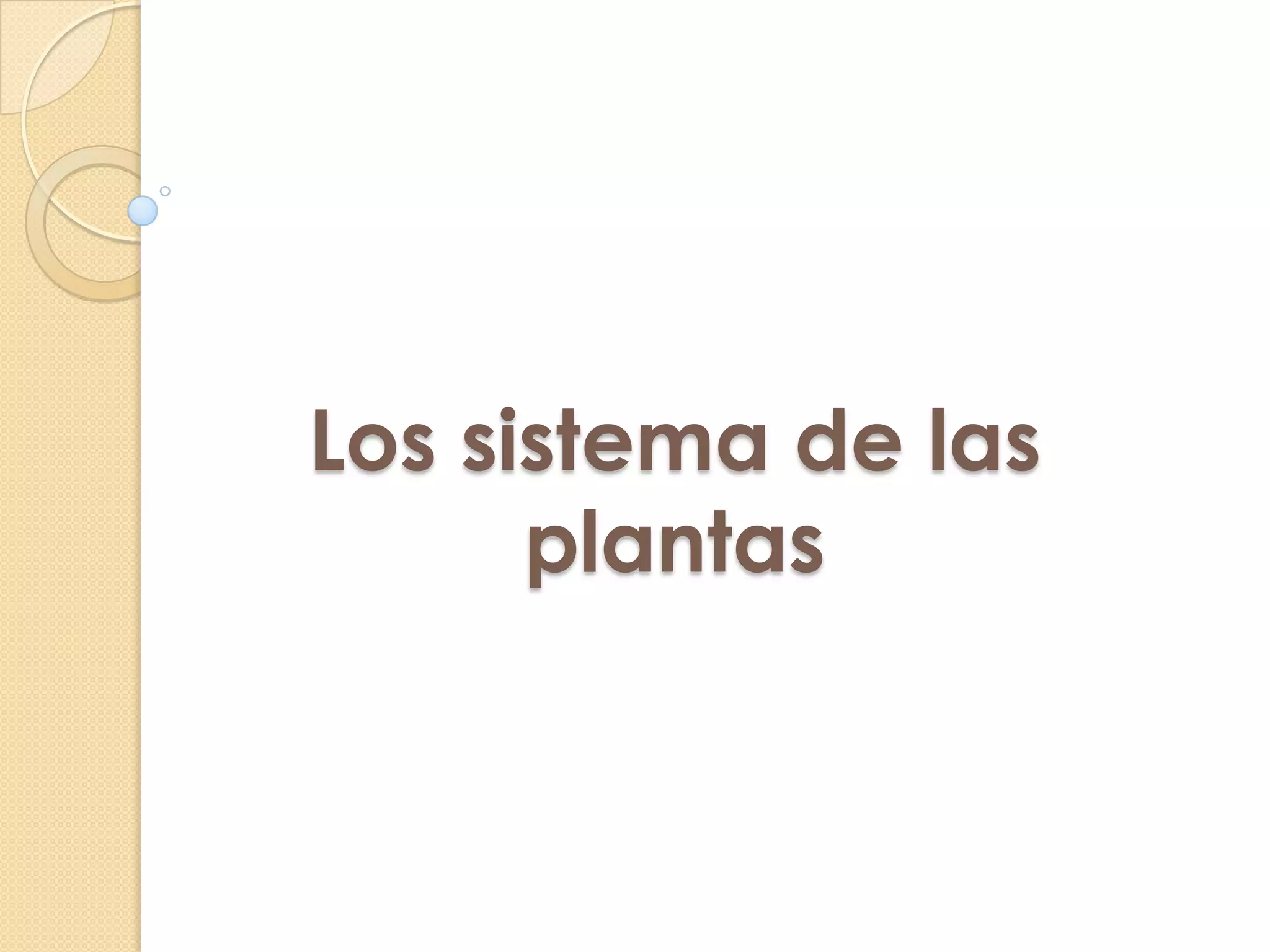 Los sistema de las plantas | PPTX