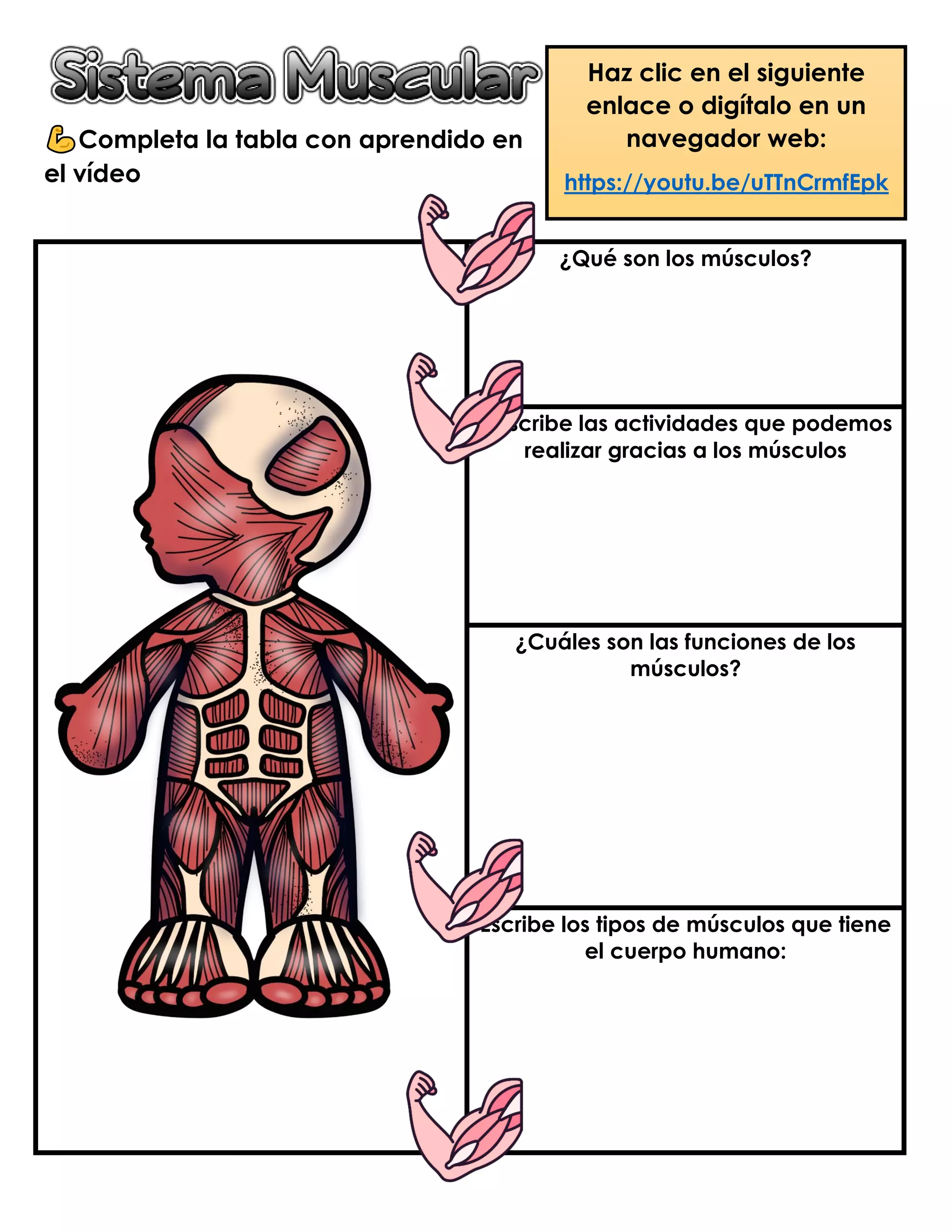 🧠LOS SITEMAS DEL CUERPO HUMANO-CUADERNILLO DE ACTIVIDADES🦴Esemeralda Te ...