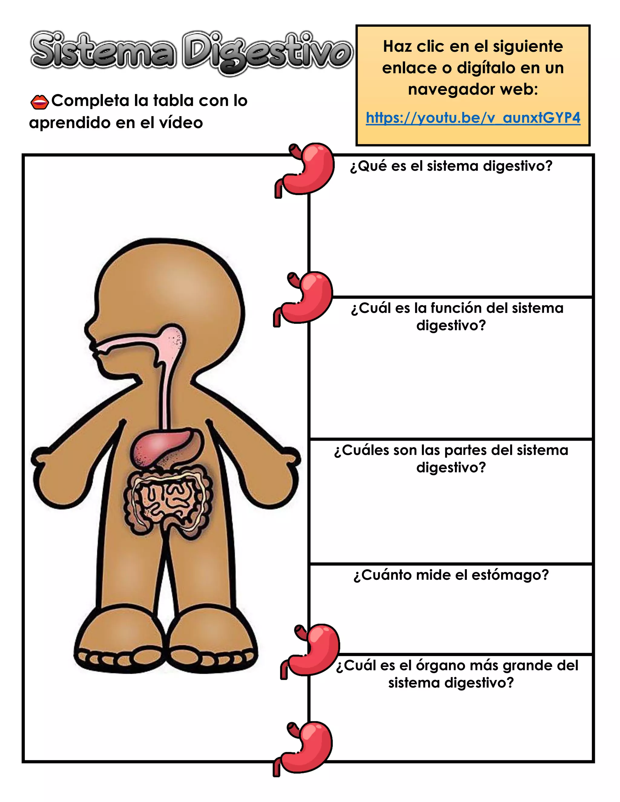 🧠LOS SITEMAS DEL CUERPO HUMANO-CUADERNILLO DE ACTIVIDADES🦴Esemeralda Te ...