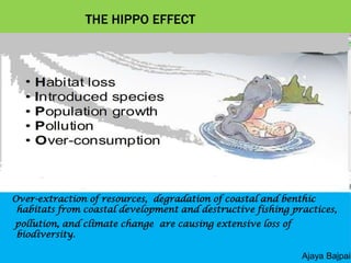 Loss of biodiversity | PPTX