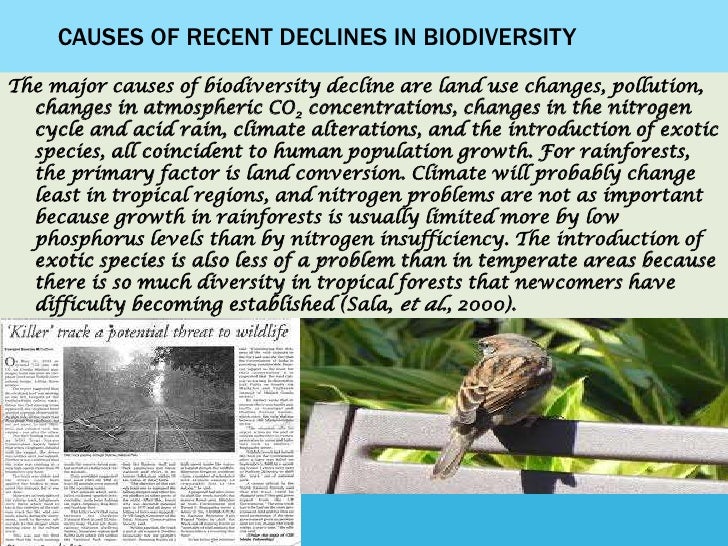 Loss Of Biodiversity loss-of-biodiversity