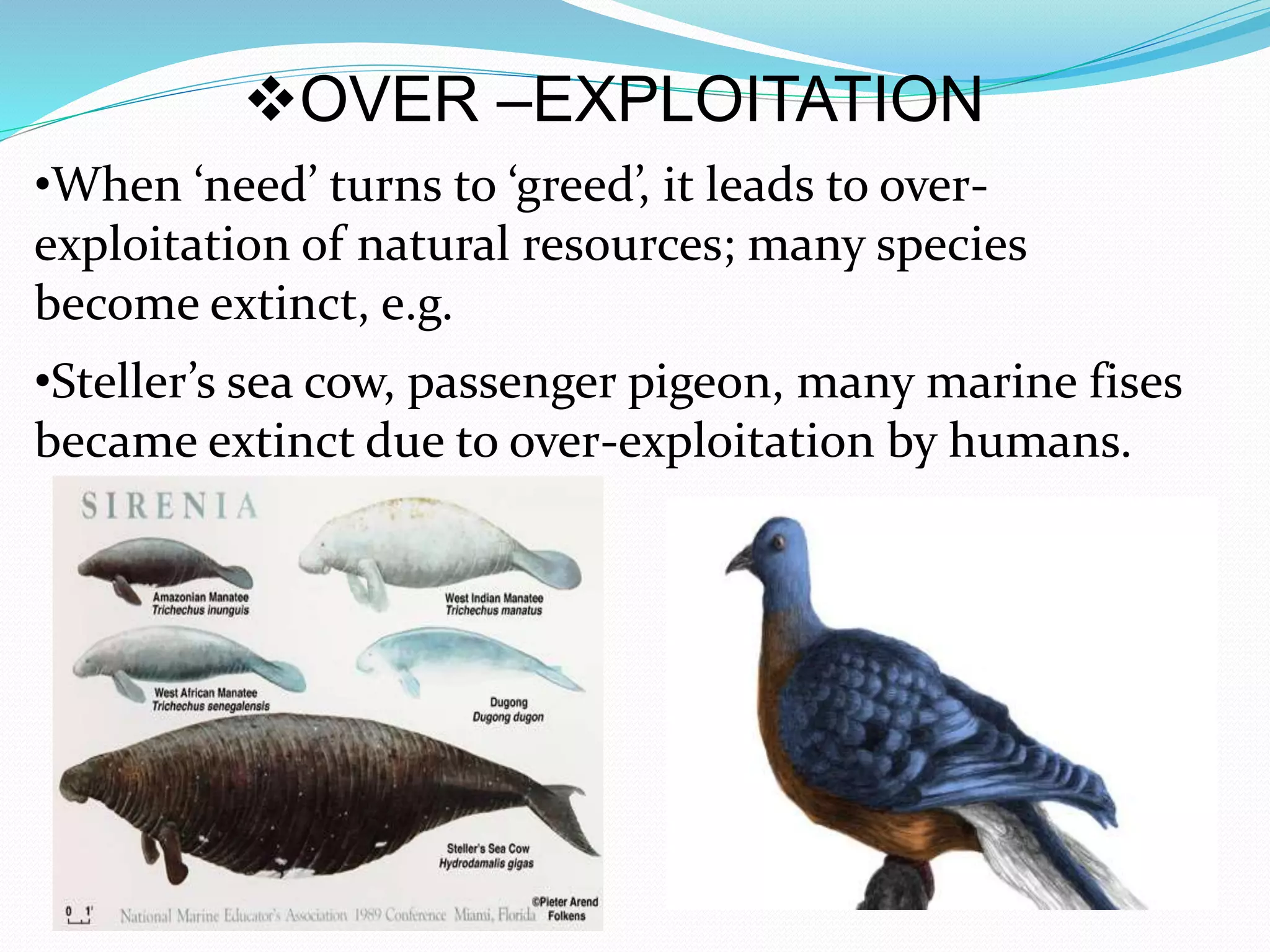 Loss of biodiversity | PPTX