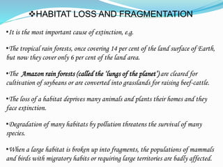 Loss of biodiversity | PPTX