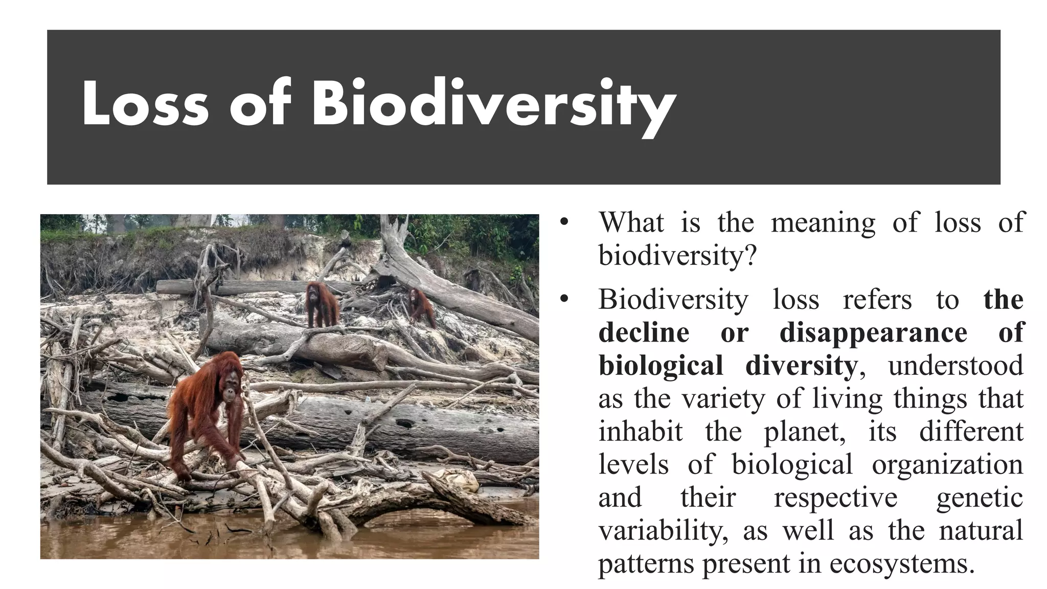 Loss of biodiversity | PDF