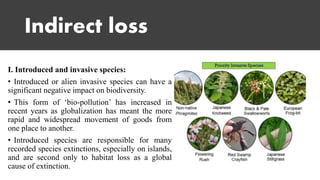 Loss of biodiversity | PDF