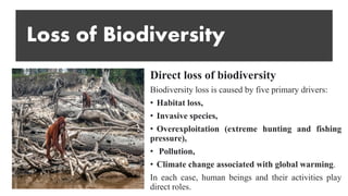 Loss of biodiversity | PDF