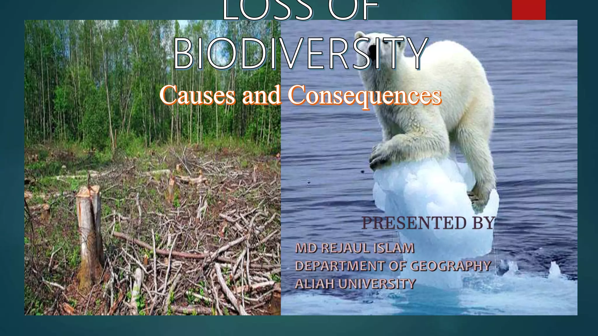 Loss of Biodiversity | PPTX | Environment | Science