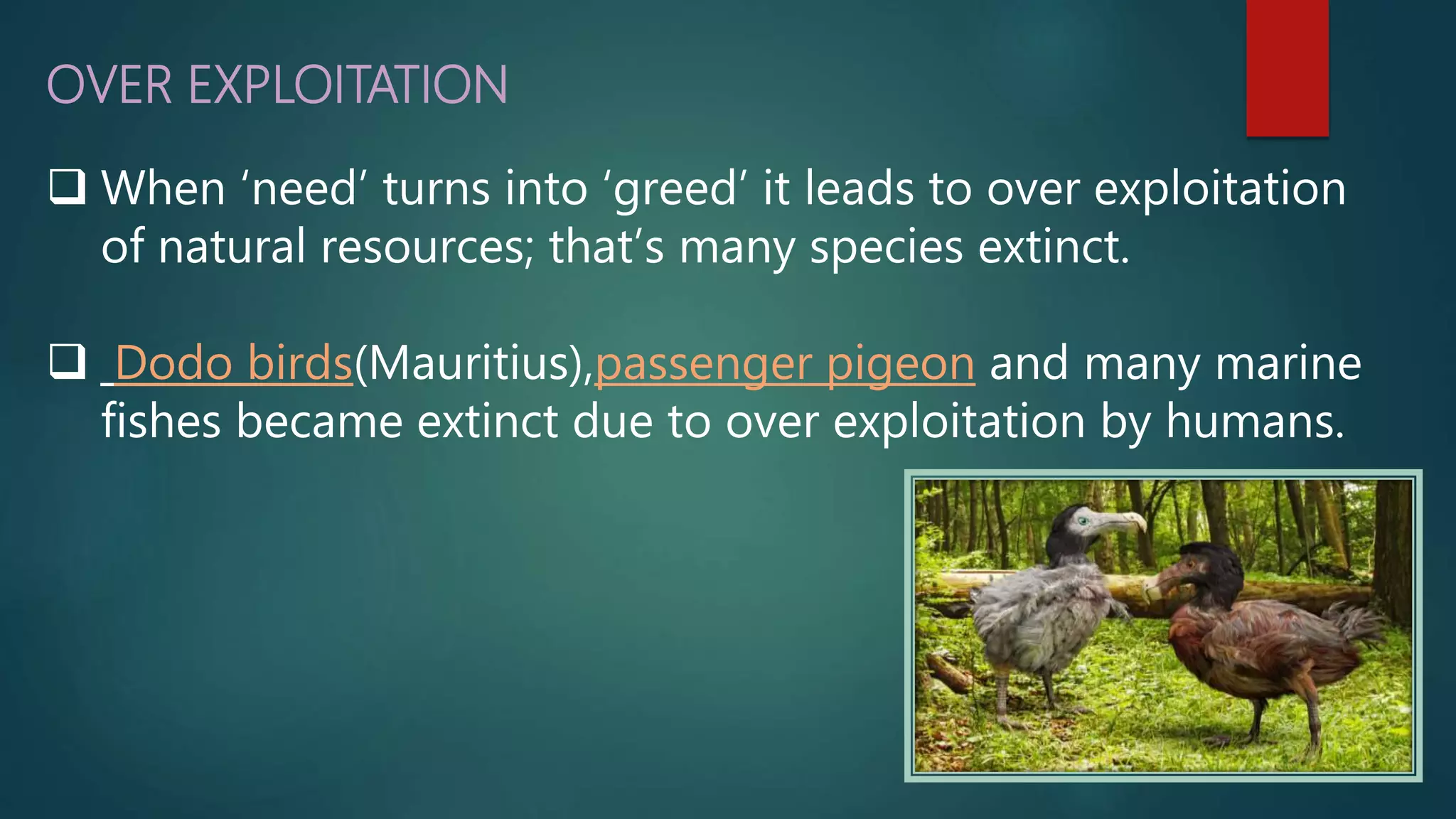 Loss of Biodiversity | PPTX