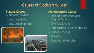 Loss of Biodiversity | PPTX