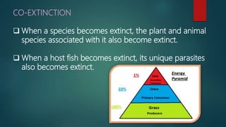 Loss of Biodiversity | PPTX