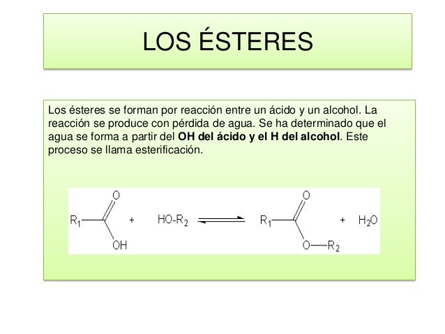 Los ésteres diapositivas