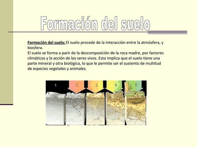 Los suelos | PPT