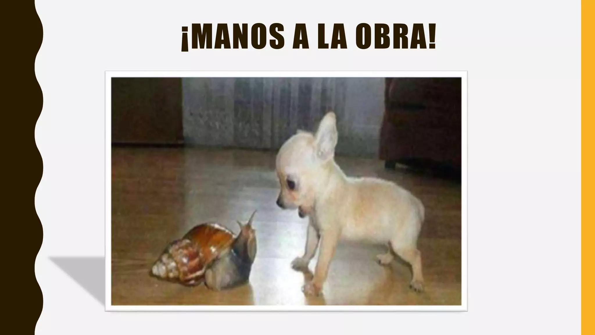 Los sustantivos y sus adjetivos.pptx