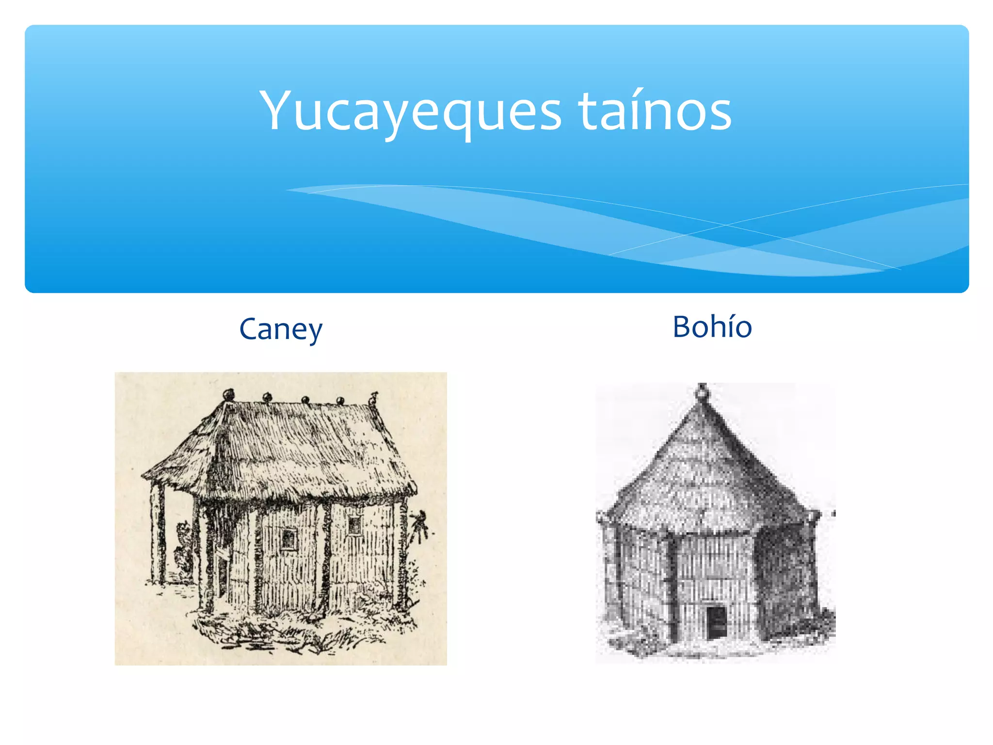 Los tainos | PPT