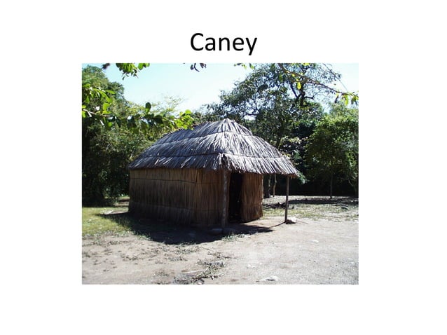 Los TaíNos De Puerto Rico | PPT