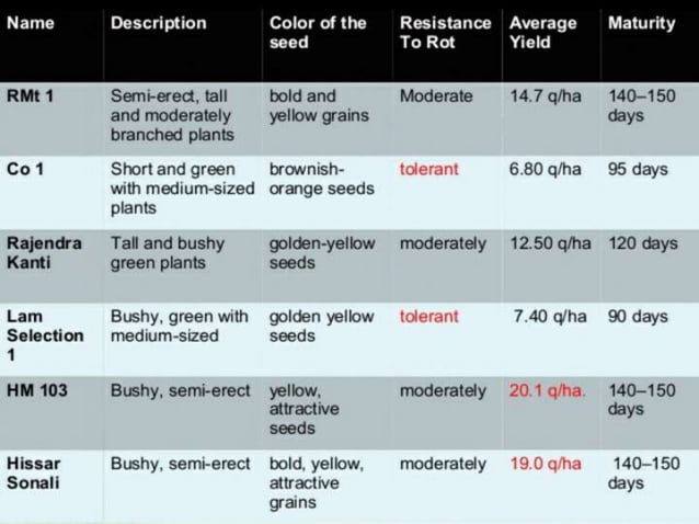MINOR VEGETABLES | PPTX