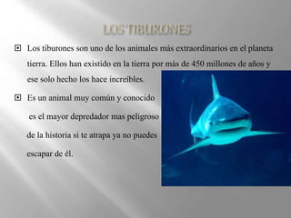 Los tiburones terminado | PPTX