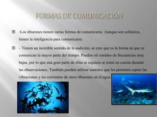 Los tiburones terminado | PPTX