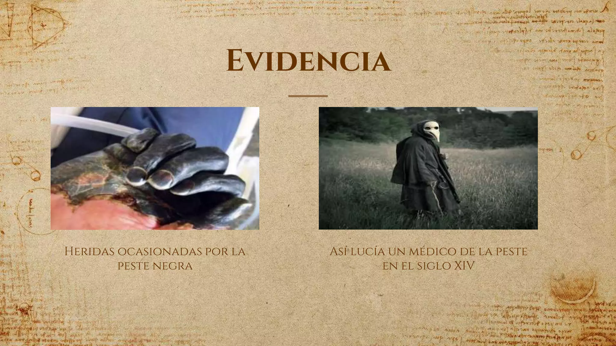 Los tiempo de la peste | PPTX
