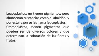 LOS TIPOS DE CÉLULAS, las células procariotas o eucariotas..pptx