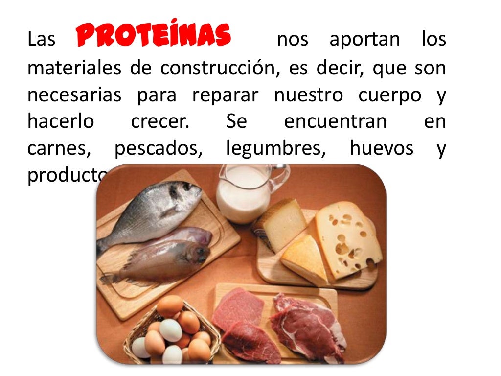 Los Tipos De Nutrientes los-tipos-de-nutrientes