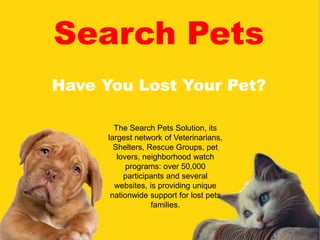 Search pets | Lost Pets Finder | How to find a lost pet | PPT