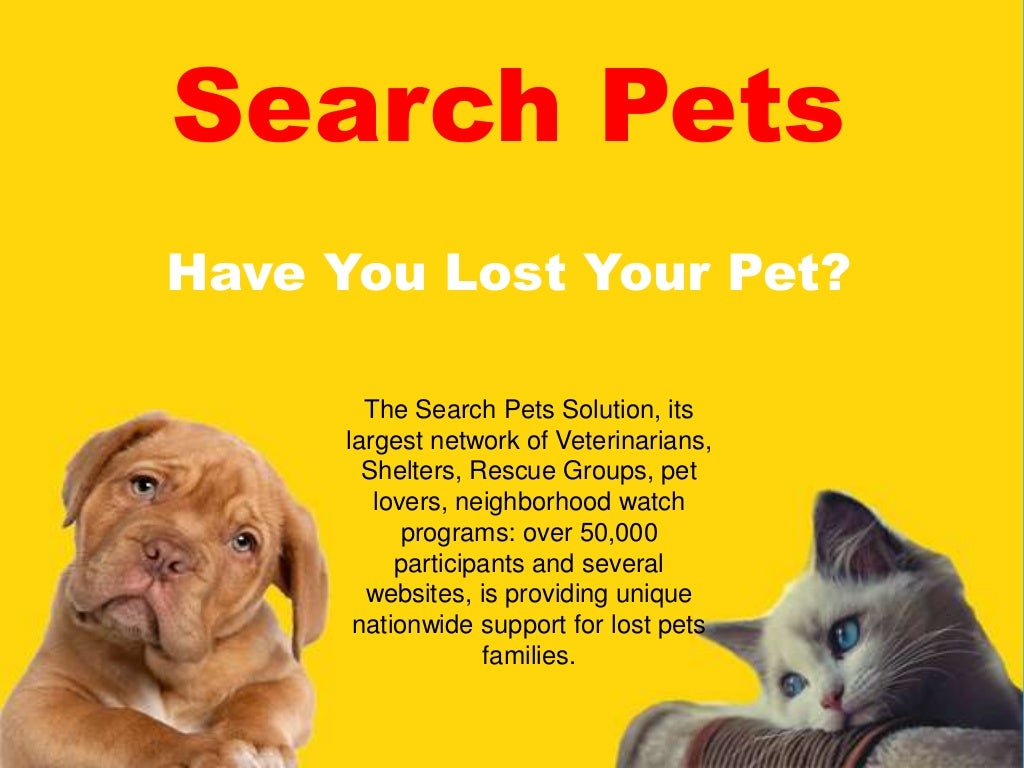 Search Pets Lost Pets Finder How To Find A Lost Pet search-pets-lost-pets-finder-how-to-find-a-lost-pet