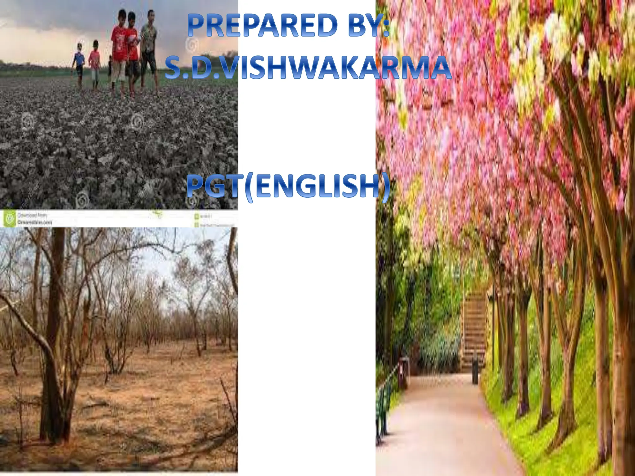 LOST SPRING.pptx BY-SATYADEO VISHWAKARMA | PPT